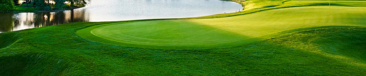 growing-grass-header-01 - Premium Soils