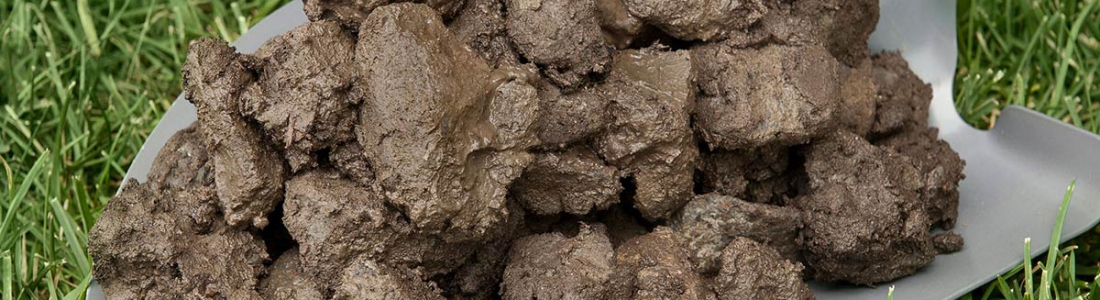 structural-soil-02 - Premium Soils